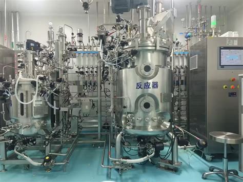 Wave Bioreactor 200ehbioreactor Downstream Processing Of Citric Acid