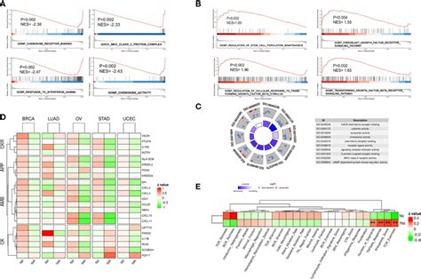Gene Expression Profile Of Five Types Of Cancer Confirmed For