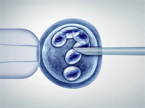 Gcseigcse Biology Infertility Treatment Ivf Teaching Resources