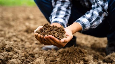 How To Identify Your Soil Type Sand Clay Loam And Silt Soils