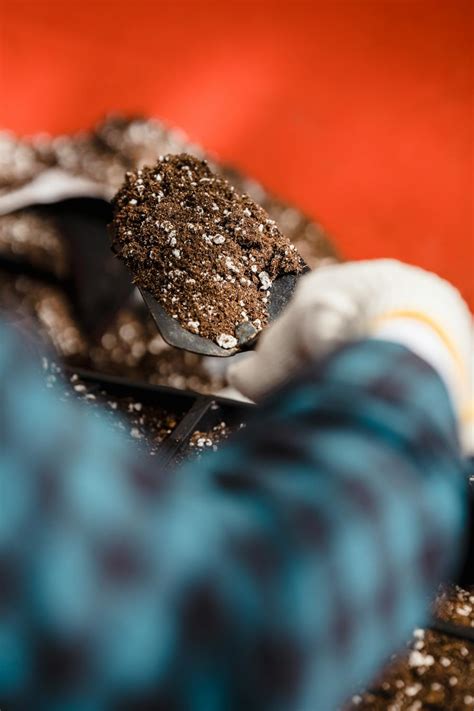 가정 원예 건강한 토양 경작 농업 농업 경제학 농업 장비 도구 뒤뜰 땅 모종삽 봄 삽질 손 도구 손 작업 스페이드 식물 재배 심기 심기 시즌