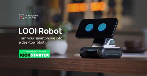 Looi Robot Unveiled 5 Must Know Facts And Future Review