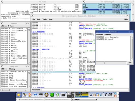 Lida Linux Interactive Disassembler