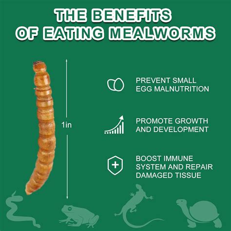 Capuca Gusanos De Harina Secos Para Reptiles 100 Natural Comida De