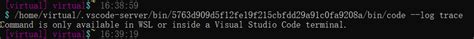 Debug Create JavaScript Debug Terminal Executing The Script Does Not
