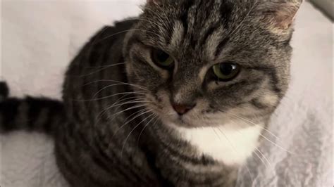 자다 깨서 바로 올라오심 Youtube