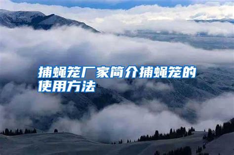 捕蝇笼厂家简介捕蝇笼的使用方法 蝇类防治 除四害消杀灭虫网