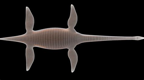Elasmosaurus Platyurus 3d Model Animated Rigged Cgtrader