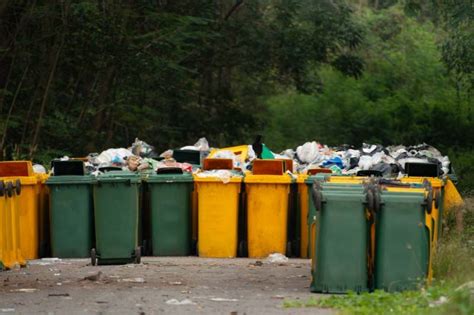 How To Properly Dispose Of 4 Styrofoam Greencitizen