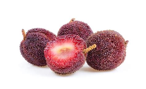 Yangmei 杨梅 Seeds Chinese Bayberry Scarified Or Dehulled Your Choice Myrica Rubra Etsy Seeds