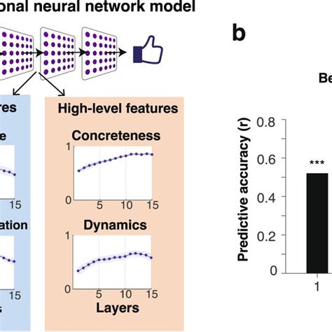 The Deep Convolutional Neural Network Dcnn Model Naturally Encodes