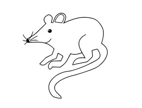 Ausmalbilder Maus Coloringlibcom Kostenlos Malvorlagen Zum Ausdrucken