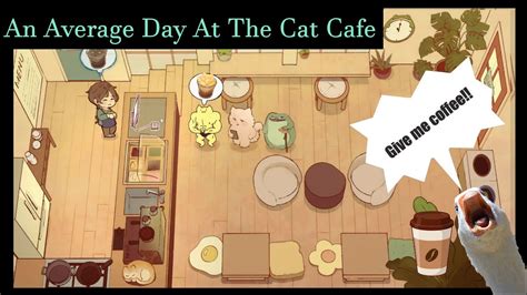 An Average Day At The Cat Cafe Youtube