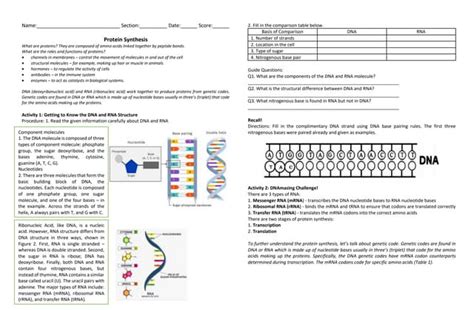 Protein Synthesis Worksheet For Grade 10 Ppt Worksheets Library