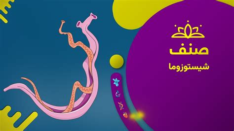 صنف اتم صنف بیولوژي ۱۷ درس شیستوزوما Youtube