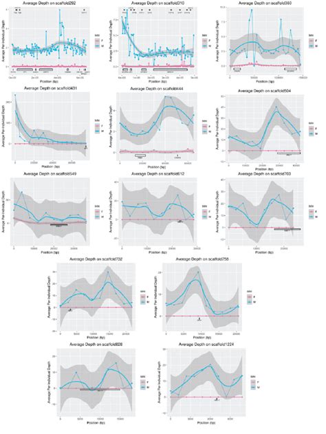 Depth Of Coverage Of Y Scaffolds By Male And Female Resequencing Reads