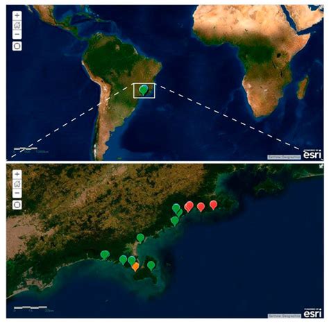 Diversity Special Issue Meiofauna Biodiversity And Ecology