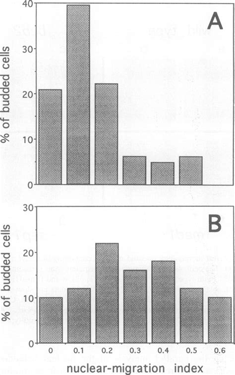 Distribution Of The Nuclear Migration Indices The Nuclearmigration