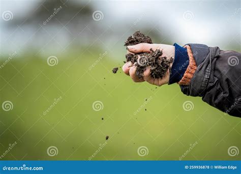 Female Farmer Testing Soil On A Farm Stock Photo Image Of Farm Conservation