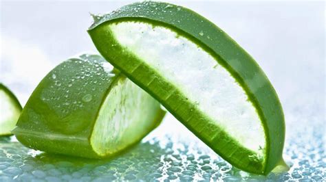 Aloe Vera Health Benefits Proven By Science Update 2018 7 Things
