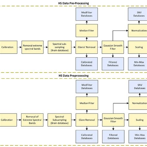 Steps Of The Preprocessing Chain Block Diagram Download Scientific