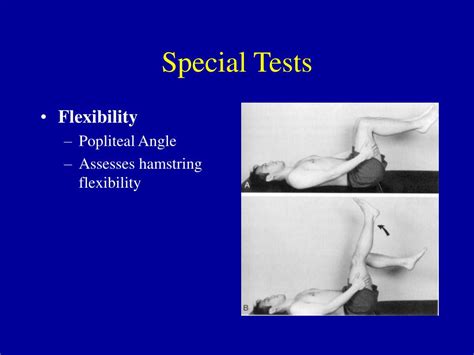 Ppt Hip Anatomy Powerpoint Presentation Free Download Id1221961