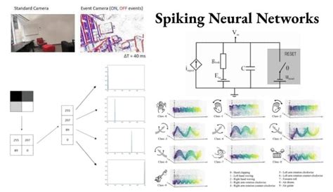 Spiking Neural Networks Where Neuroscience Meets Artificial Intelligence Lifeboat News The Blog