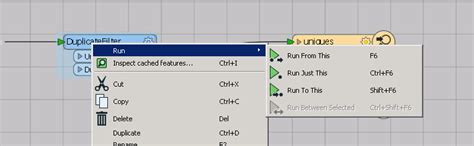 Fme Form Howto Do Not Re Run Already Executed Transformers In Fme Geographic Information