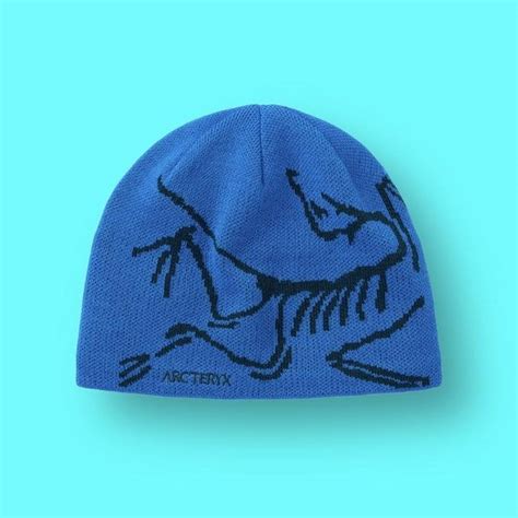 Arcteryx Bird Head Toque Blue Beanie Hat Brand New Depop