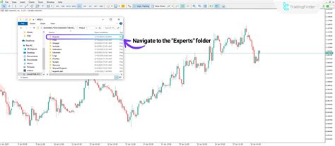 Download And Install An Expert For Mt5 Visual Tutorial