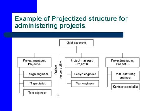 Chapter 4 The Project In The Organizational Structure