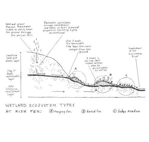 What Is A Fen — Friends Of Kishwaukee Fen