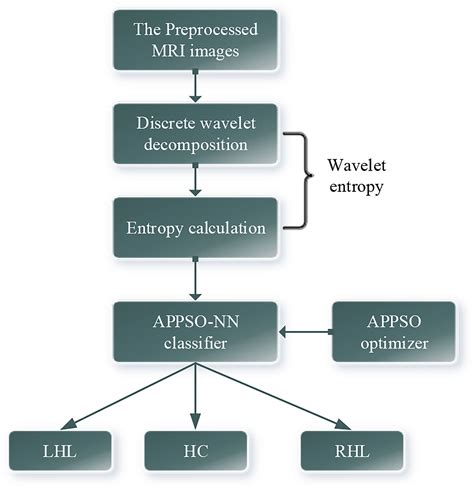 Iet Biometrics Vol 12 No 4