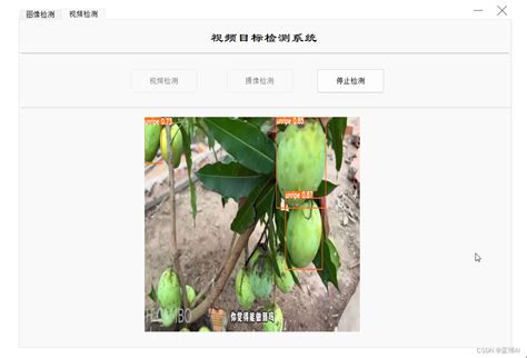基于yolov5的芒果成熟度检测系统，支持图像检测，视频检测和实时摄像检测功能（pytorch框架，python源码）芒果yolov5 Csdn博客