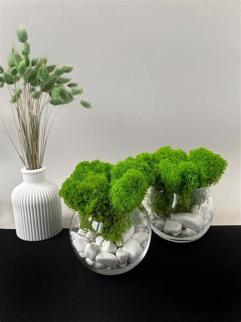 Флораріум з мохом скляна ваза гіпсова ваза — ціна 290 грн у каталозі Вази Купити товари для