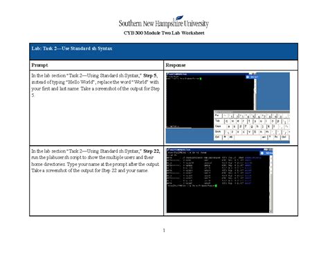 CYB 300 Mod 2 Isis Hughes Mohney CYB 300 Module Two Lab Worksheet Lab Task 2Use Standard Sh