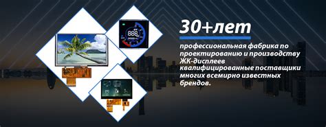 Сегментное отображение Lcd высокой надежности Lcd автомобильного класса Dalian Eastern Display