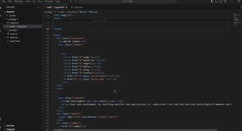 Roshani Nikhare On Linkedin Prodigyinfotech Internship Webdevelopment