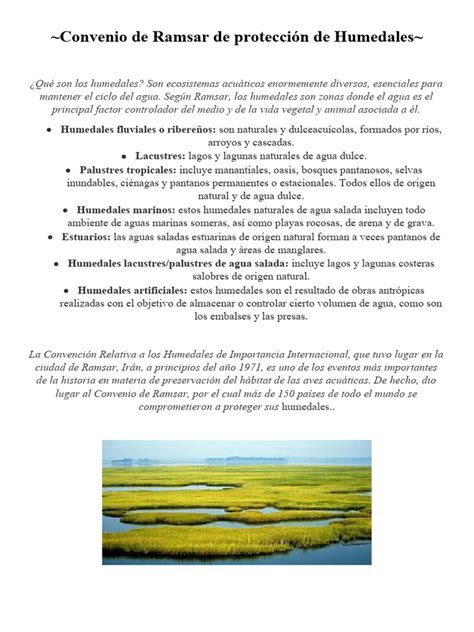 Convenio De Ramsar De Protección De Humedales Pdf