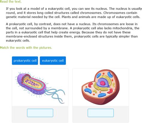 Ixl Determine The Meaning Of Domain Specific Words With Pictures Year 5 English Practice