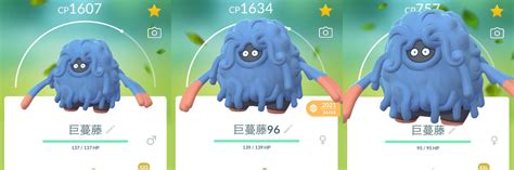精靈寶可夢社團 Pokemon Go 巨蔓藤全家福