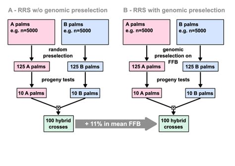 Representation Of The Simulation Design Used To Estimate The Genetic Download Scientific