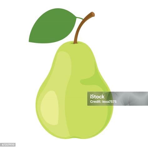 Pir Satu Buah Pir Hijau Ilustrasi Vektor Ilustrasi Stok Unduh Gambar