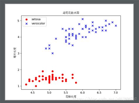 机器学习（三）：感知器算法实现鸢尾花分类项目实战感知机鸢尾花 Csdn博客