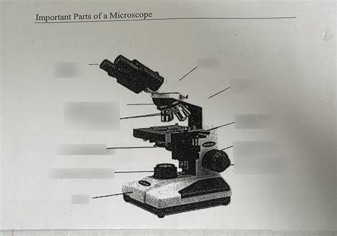 Microbiology Microscope Labeling Diagram Quizlet