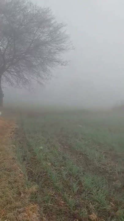 Thand🥶🥶 Youtube