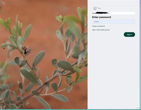 microsoft entra custom styling bugs microsoft qanda