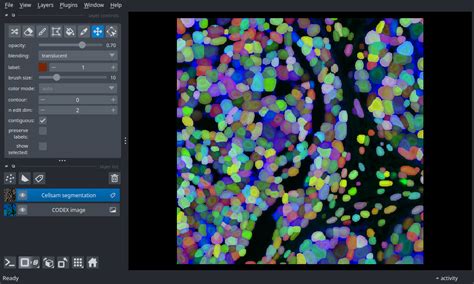 Multiplexed Imaging Codex — Cellsam