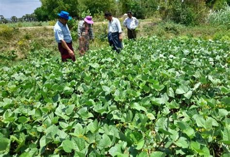 ကျေးရွာမတည်ရန်ပုံငွေ စီမံကိန်း Vrfp ဖြင့် ဆောင်ရွက်ထားရှိမှု အခြေအနေများအား ကွင်းဆင်းစစ်ဆေး