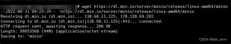 分布式存储从fastdfs切换到miniofastdfs迁移到minio Csdn博客